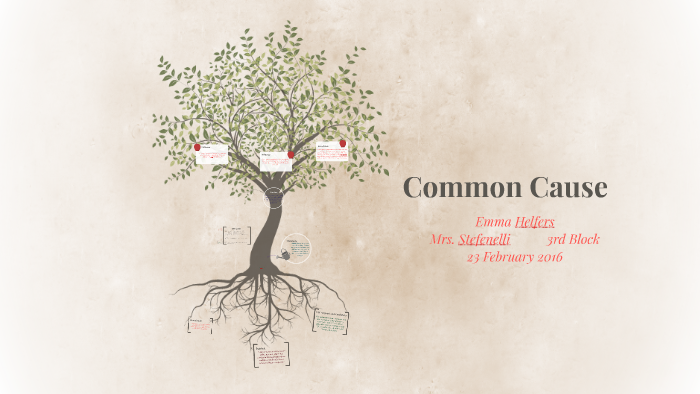Common Cause by Emma Helfers on Prezi