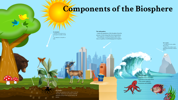 Biosphere Presentation by Alyssa Sauer on Prezi