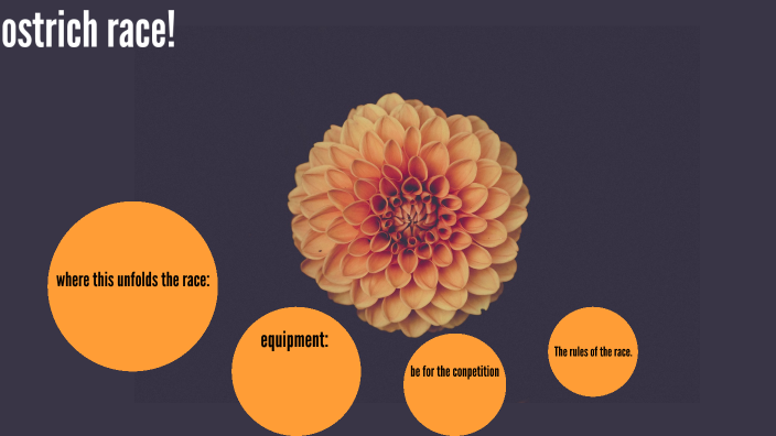 course d'autruche by fannie santin on Prezi