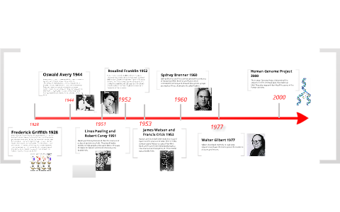 Timeline of Scientists by Hannah Shaw on Prezi