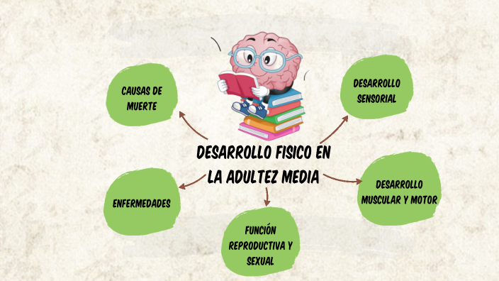 DESARROLLO FISICO EN LA ADULTEZ MEDIA by Ana Felicia Camacho Arias on Prezi