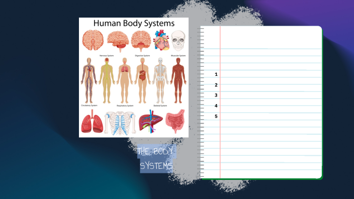Body Systems Poster by Swastik Chuke on Prezi
