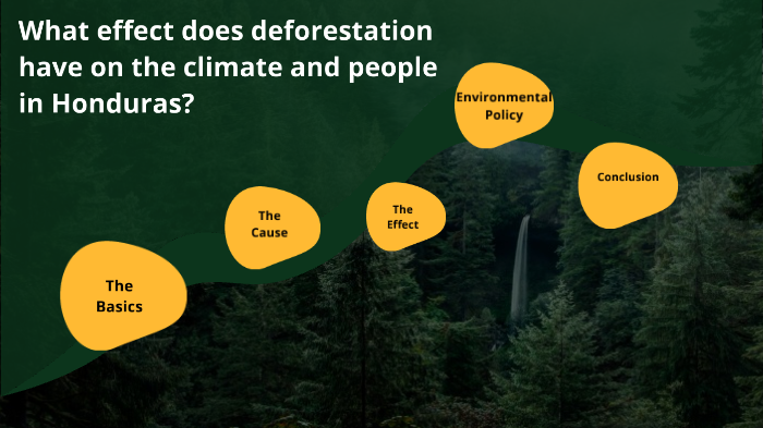 What effect does deforestation have on the climate and people in ...