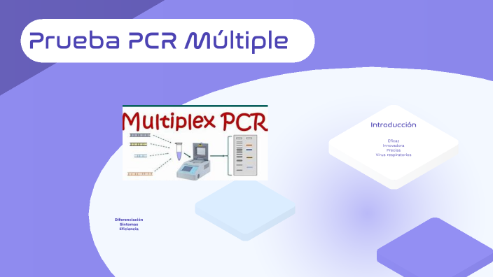 Prueba PCR Múltiple by José Julián Grunauer on Prezi