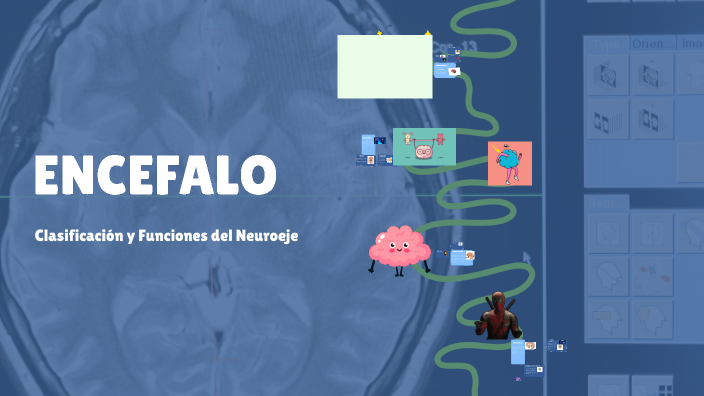 Mapa Conceptual del Encéfalo y Neuroeje by Jhorman Leyton on Prezi
