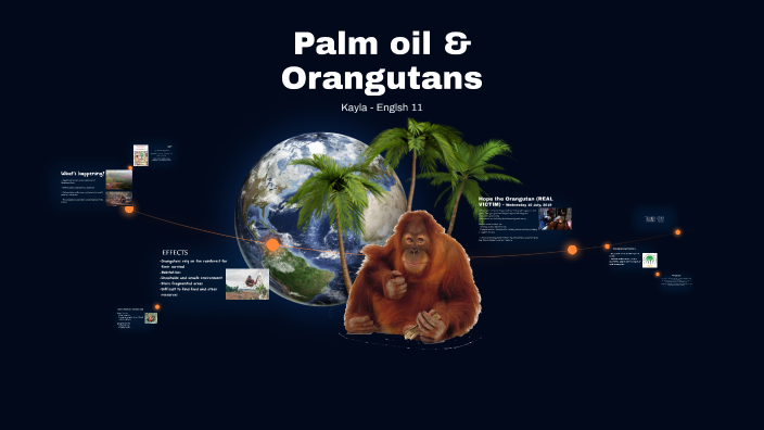 Palm oil and Orangutans - English by Kayla Natasha on Prezi