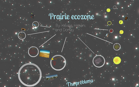Prairies Ecozone by Himani Mistry on Prezi
