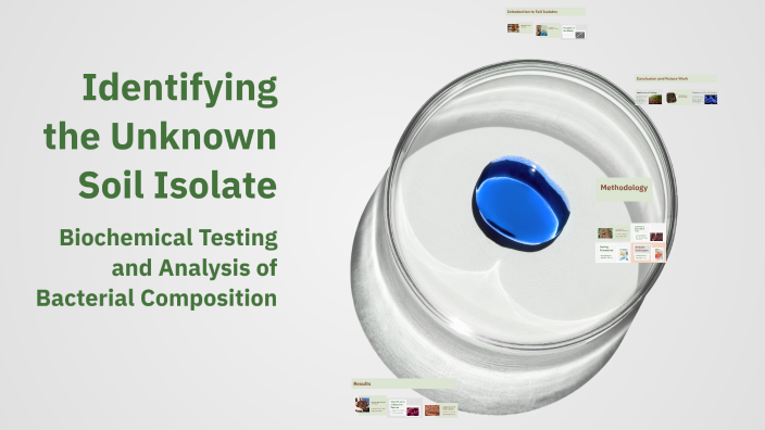 Identifying the Unknown Soil Isolate by GEN NAVARRETE on Prezi