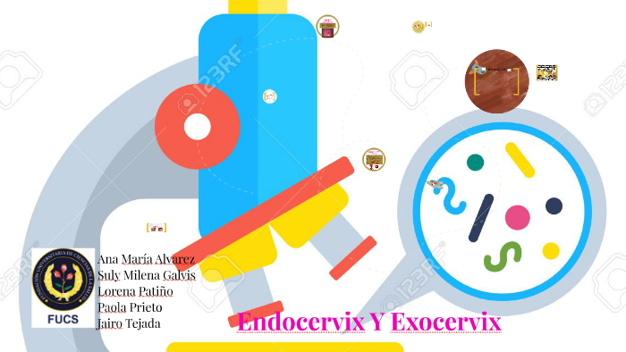 Exocervix Y Endocervix by Jairo David Tejada Suarez on Prezi