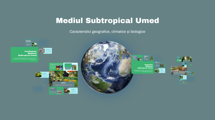 Mediul Subtropical Umed by Ciulei Cristian on Prezi