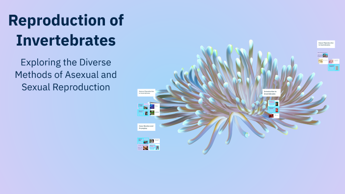 Reproduction of Invertebrates by Mia Kremenjaš on Prezi