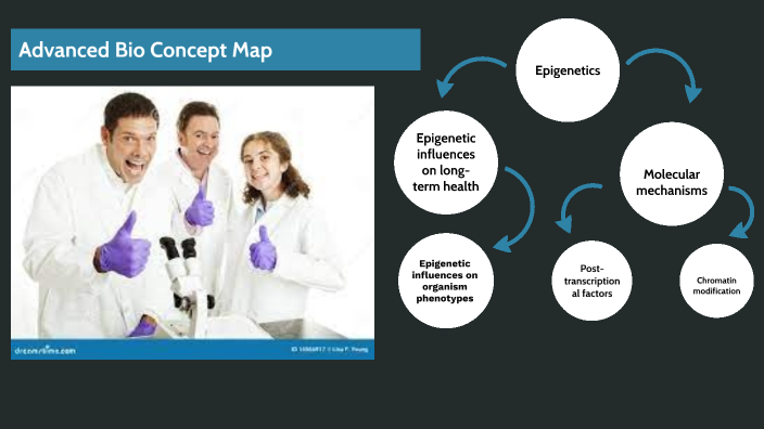 Advanced Bio Concept Map by Liam Murphy on Prezi