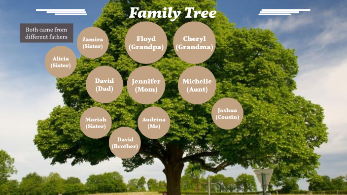 audrina gomez - family tree by Audrina Gomez on Prezi