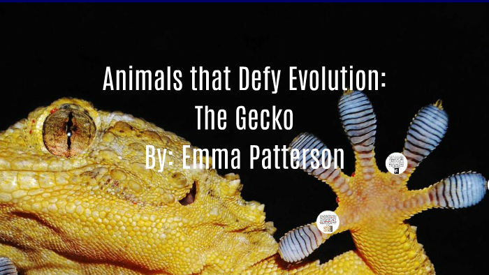 Animals that Defy Evolution: by Emma Patterson on Prezi