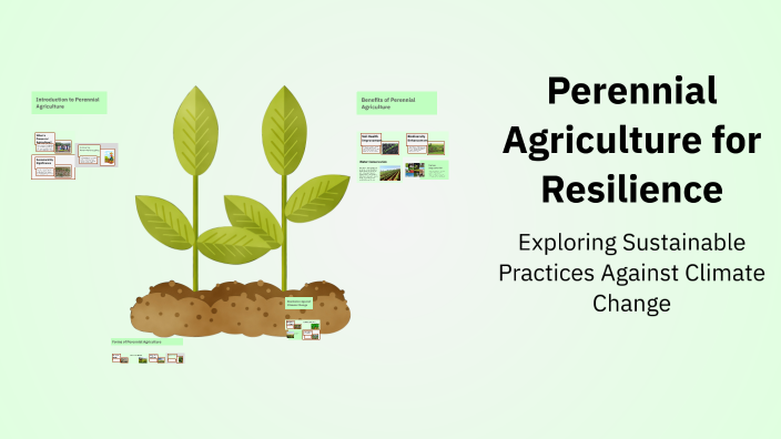 Perennial Agriculture for Resilience by Nora Daley on Prezi