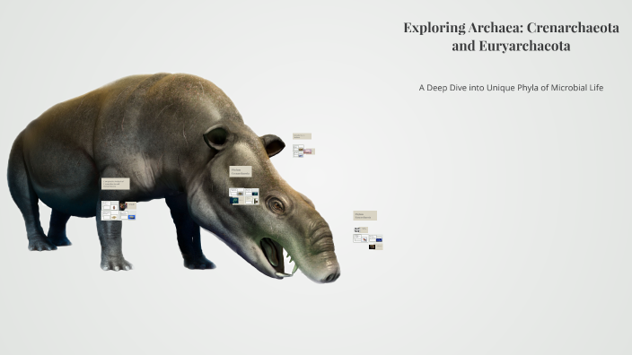 Exploring Archaea: Crenarchaeota and Euryarchaeota by Shivani Sahi on Prezi