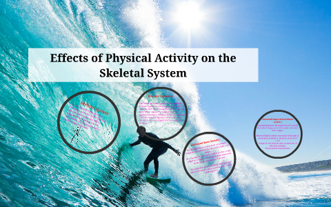 Effects of Physical Activity on the Skeletal System by Ryan Widdowson ...
