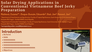 Poster ELLS by Jan Staš on Prezi Design