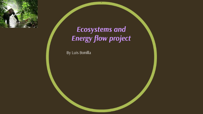 Ecosystems and Energy flow project by Luis B on Prezi