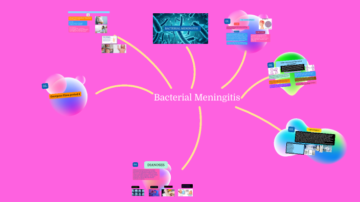 Bacterial Meningitis by Georgena Elma on Prezi
