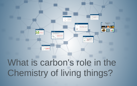 What is Carbon's role in the Chemistry of living things by Nadya ...