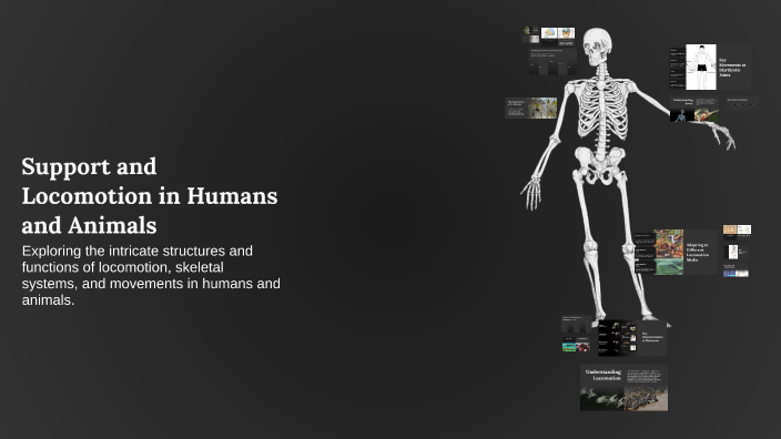 Support and Locomotion in Humans and Animals by Pascal Geminiani on Prezi