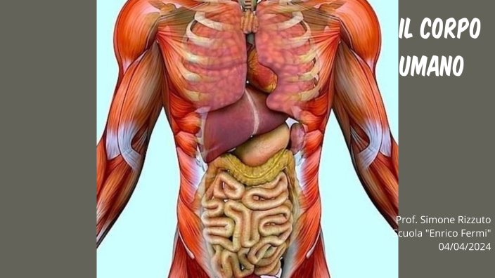 Il corpo umano by Simone Rizzuto on Prezi