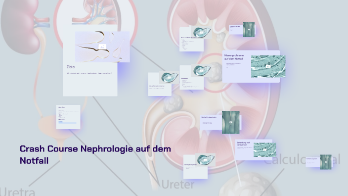 Crash Course Nephrologie auf dem Notfall by victoria.stucky@gmail.com on Prezi