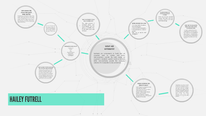 food pyr·a·mid by hailey futrell