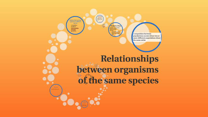 Relationships between organisms of the same species by Brittany Gill on ...