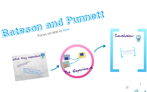 Meet the Scientists II: Bateson, Punnett, and Morgan by Jennifer Martin ...