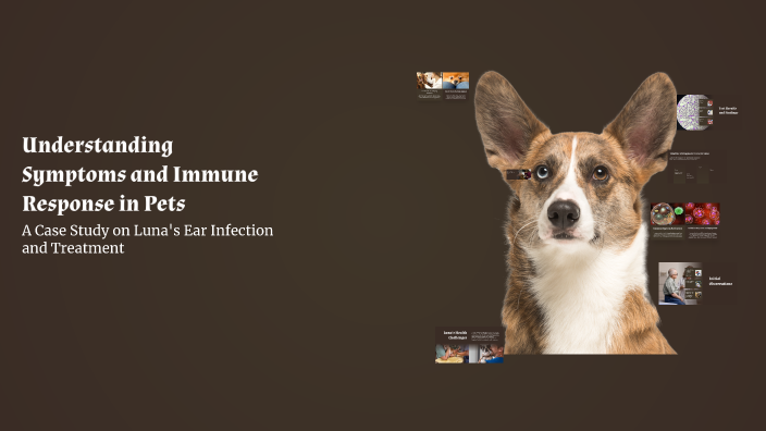 Understanding Symptoms and Immune Response in Pets by sabrina maia on Prezi