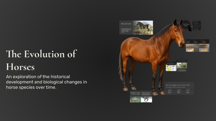 The Evolution of Horses by Skylah Snow on Prezi
