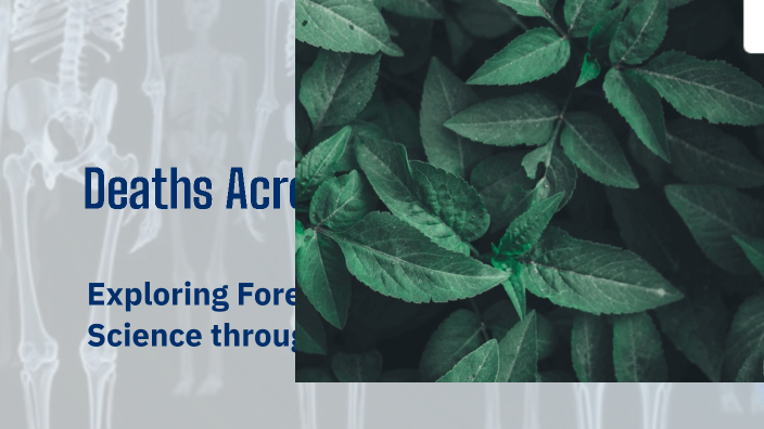 Deaths Acre Presentation by Kayla Mabry on Prezi