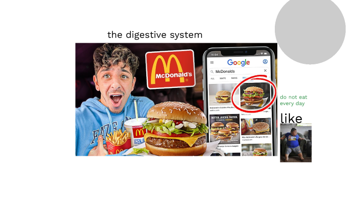 digestive system by hudsyn snape on Prezi