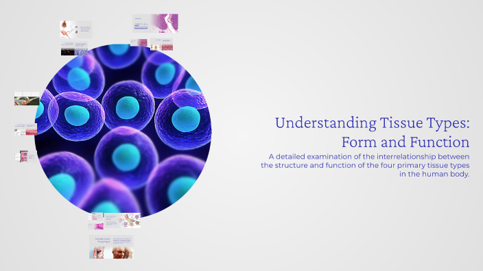 Understanding Tissue Types: Form and Function by Addison Vinciguerra on ...