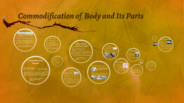 29 November, Commodification of the Body and Its Parts by Polina ...