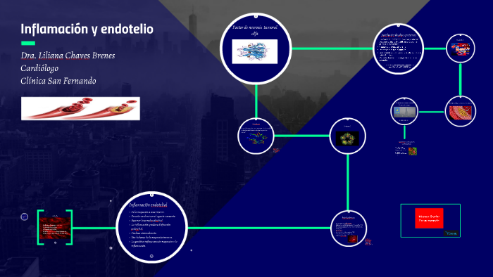 Inflamacion Y Endotelio By Rodrigo Barrantes On Prezi