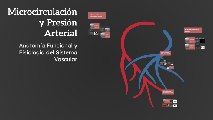 Microcirculación y Presión Arterial by Gerardo Albornoz on Prezi