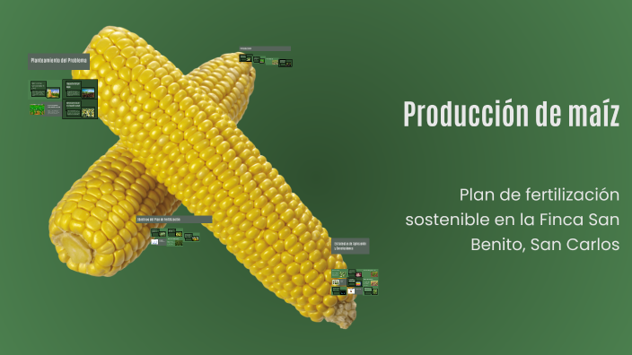 Producción de maíz by Dariel Alonso Jimènez Varela on Prezi