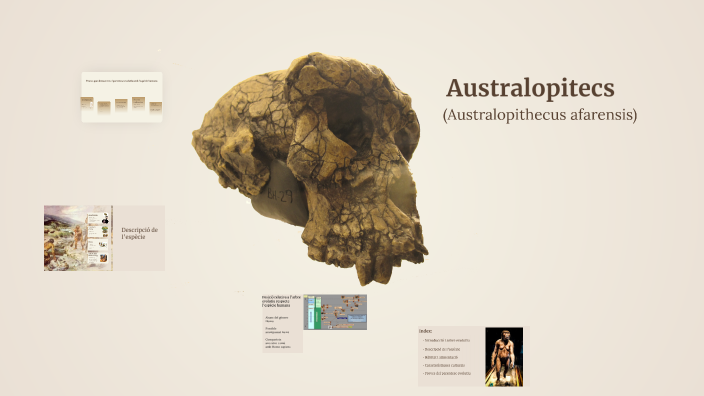 Presentation on Australopithecines by adam moutaouakil on Prezi