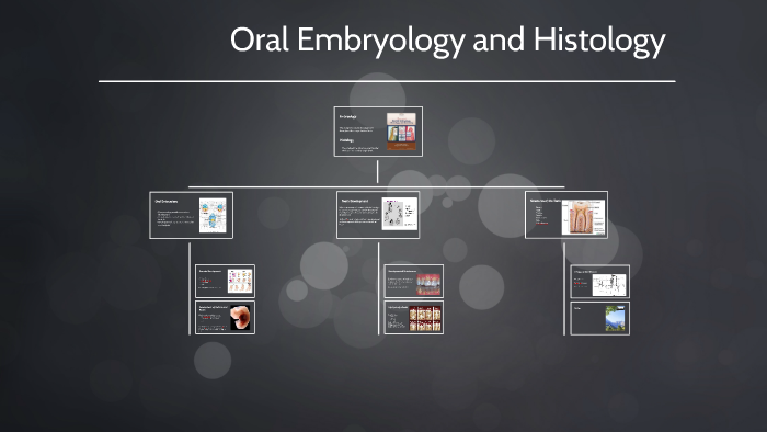 Oral Embryology and Histology by Tiffany Gilliam on Prezi