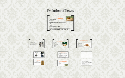 Evolution of Newts by Kendra Gozdal on Prezi