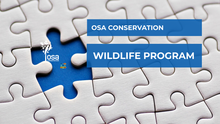 Osa Conservation Wildlife Program by Osa Conservation on Prezi