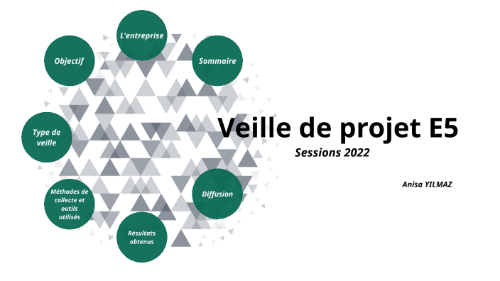 veille projet by Anisa Yilmaz on Prezi