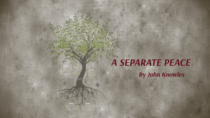 A Separate Peace: War and Rivalry by Madison Medina on Prezi