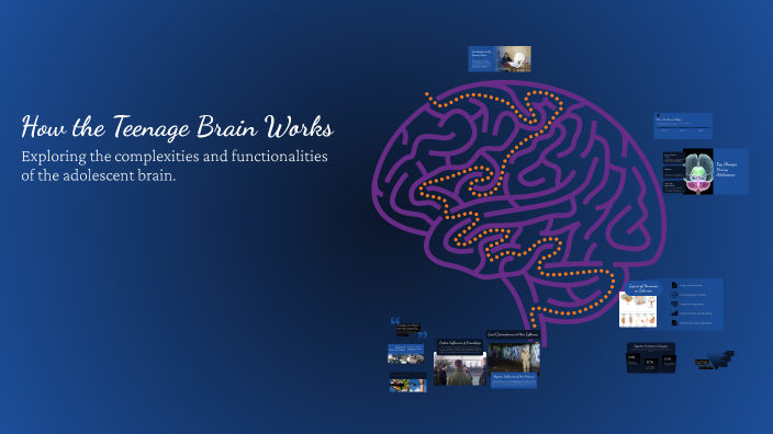 How the Teenage Brain Works by 9sosa on Prezi
