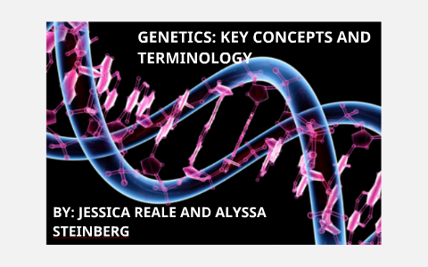 Genetics Concept Map: Key Concepts and Terminology in Geneti by Jessica ...