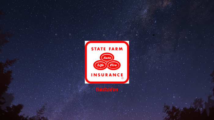 State Farm Coneheads by Jenna Stevey on Prezi