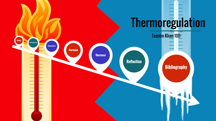 Thermoregulation Scientific model Final by Tasnim Khan on Prezi